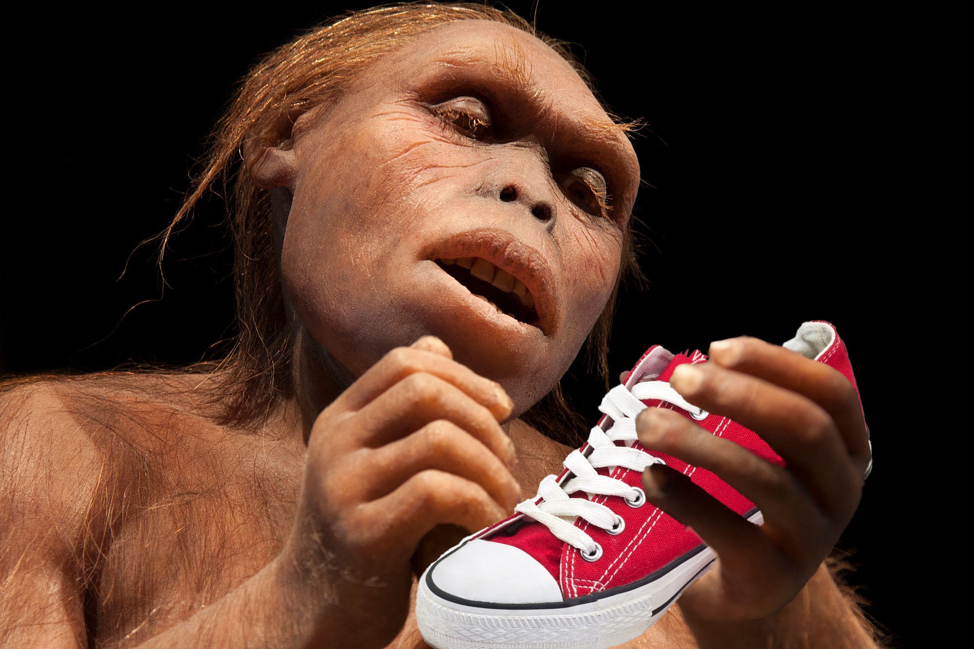 The dangers of sauntering - Charles Marshall